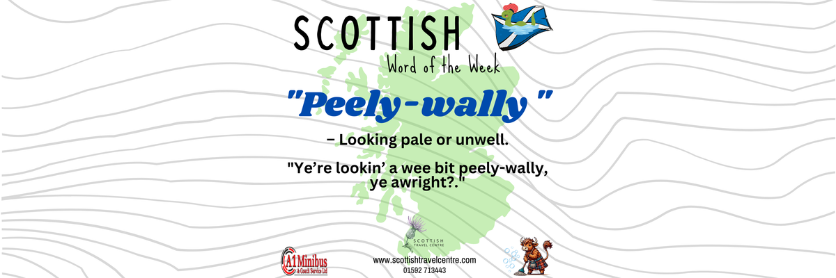 Scottish Word of the Week: "Peely-Wally" 🌧️
